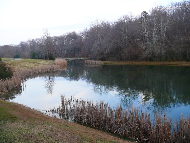 Land Conservation Offers Benefits – Davidson Lands Conservancy