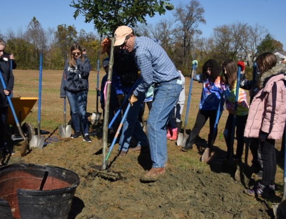 An Update on DLCs Treasure Tree Program by Pam Dykstra – Davidson Lands ...