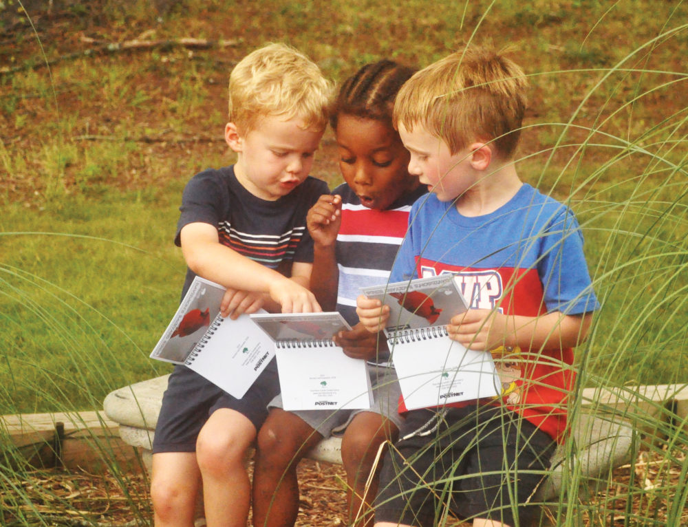 Hula Hoop Ecology – Backyard Science Idea – Davidson Lands Conservancy