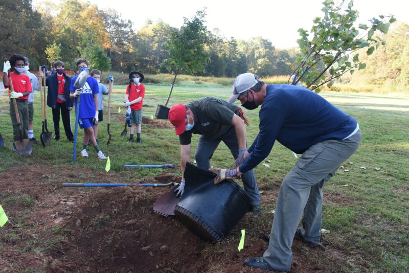 NC CTAN Urges Davidson Communities to Preserve and Plant Urban Trees ...