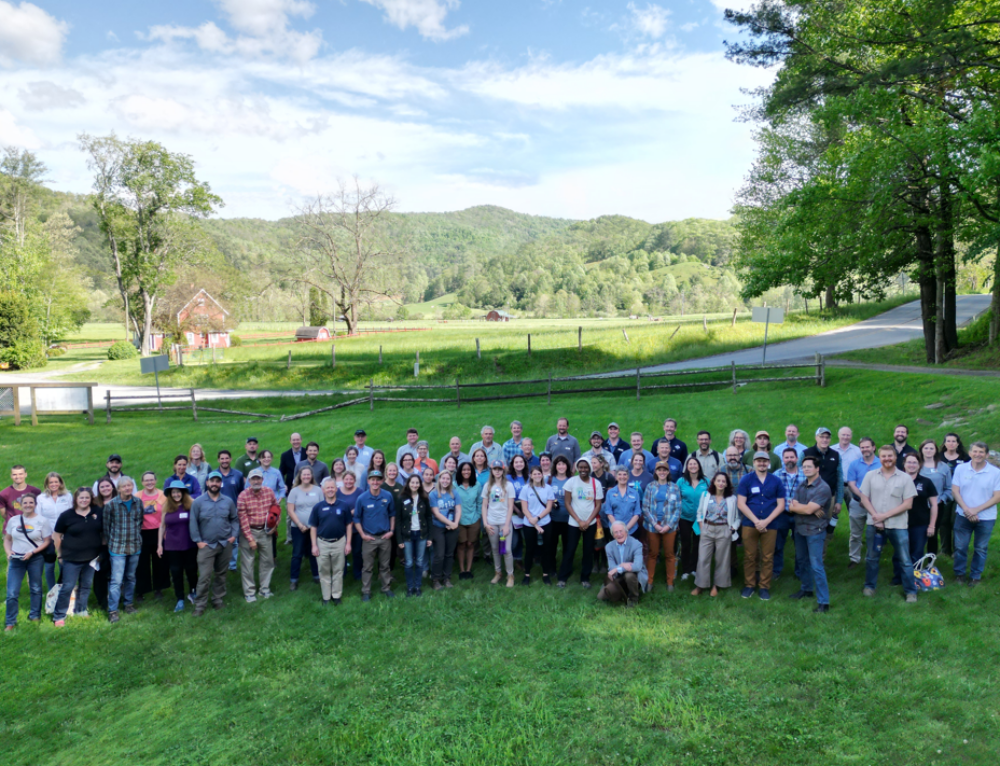 Hula Hoop Ecology – Backyard Science Idea – Davidson Lands Conservancy