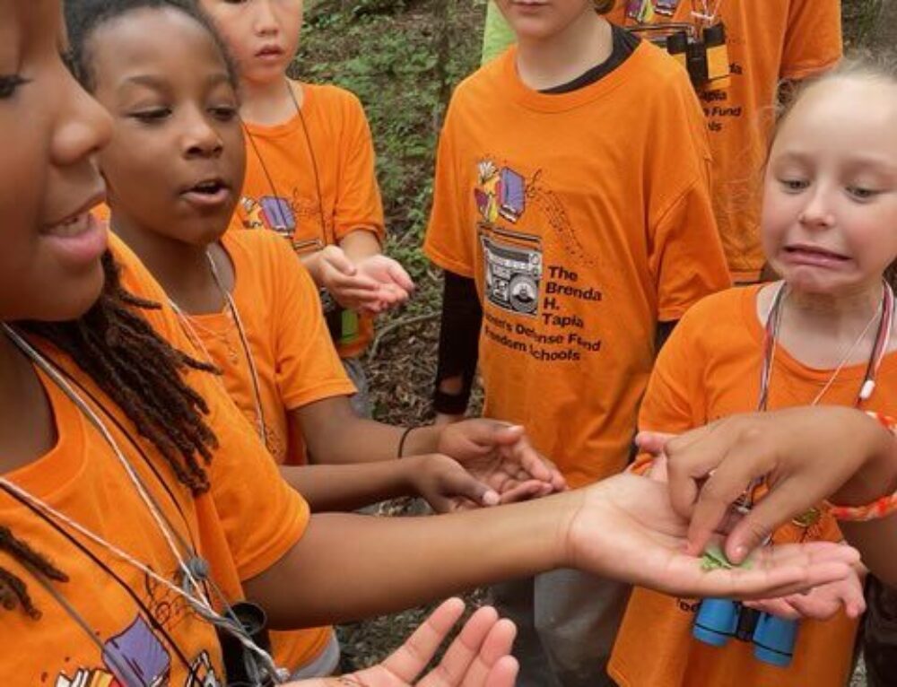 Hula Hoop Ecology – Backyard Science Idea – Davidson Lands Conservancy